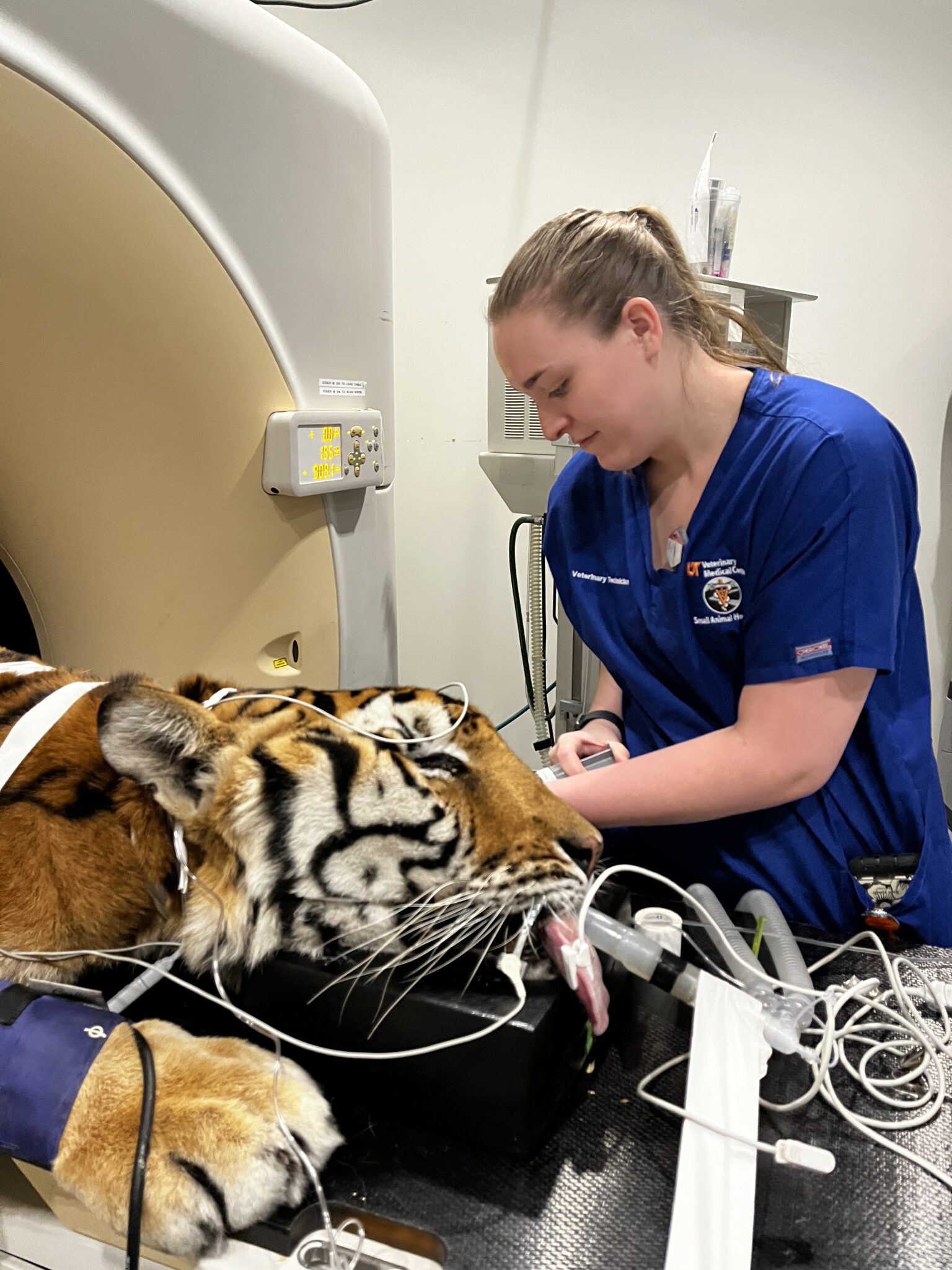 SACS Veterinary Technician Internship | College of Veterinary Medicine