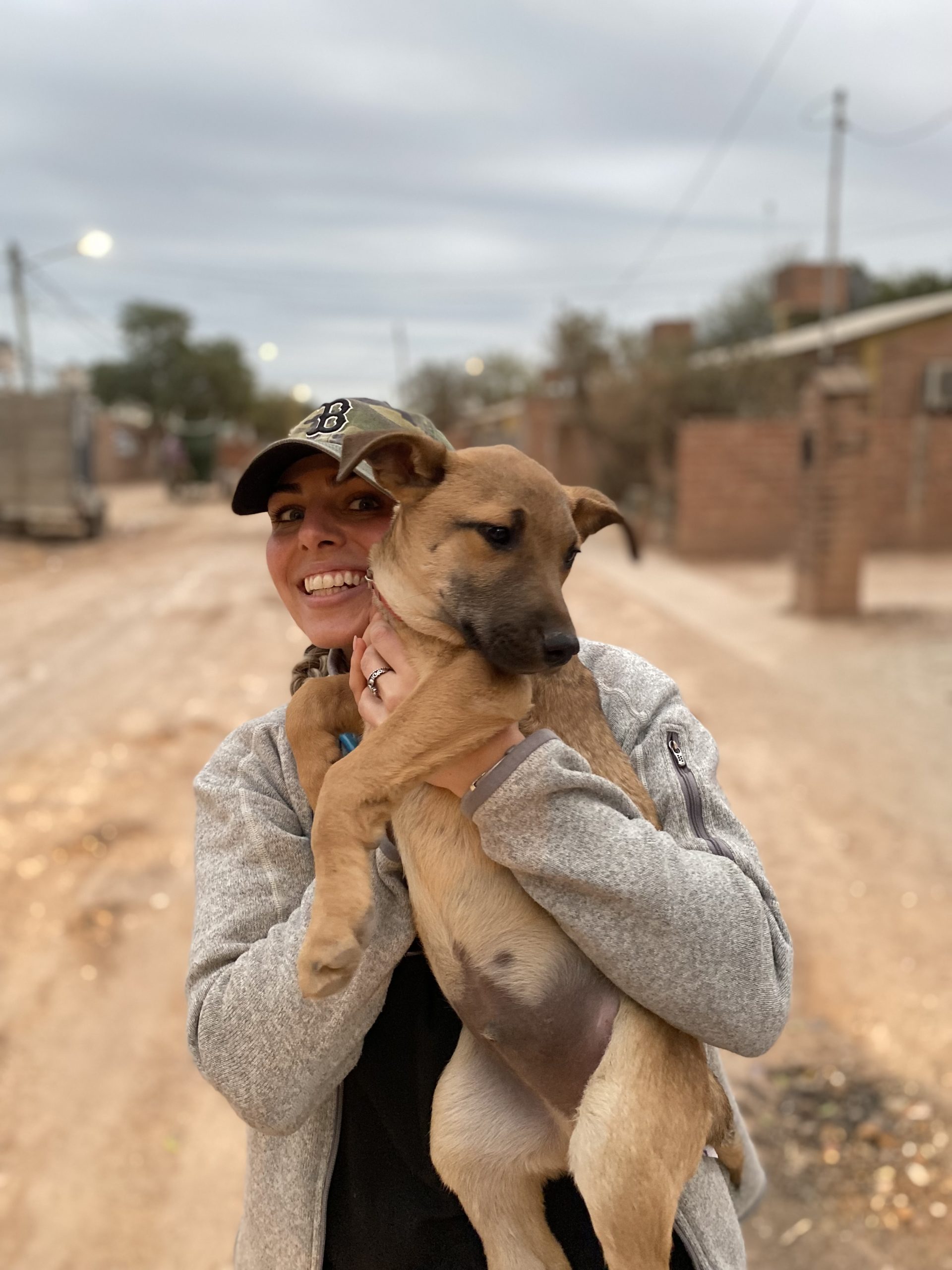Mixed Animal Medicine in Rural Argentina | College of Veterinary Medicine