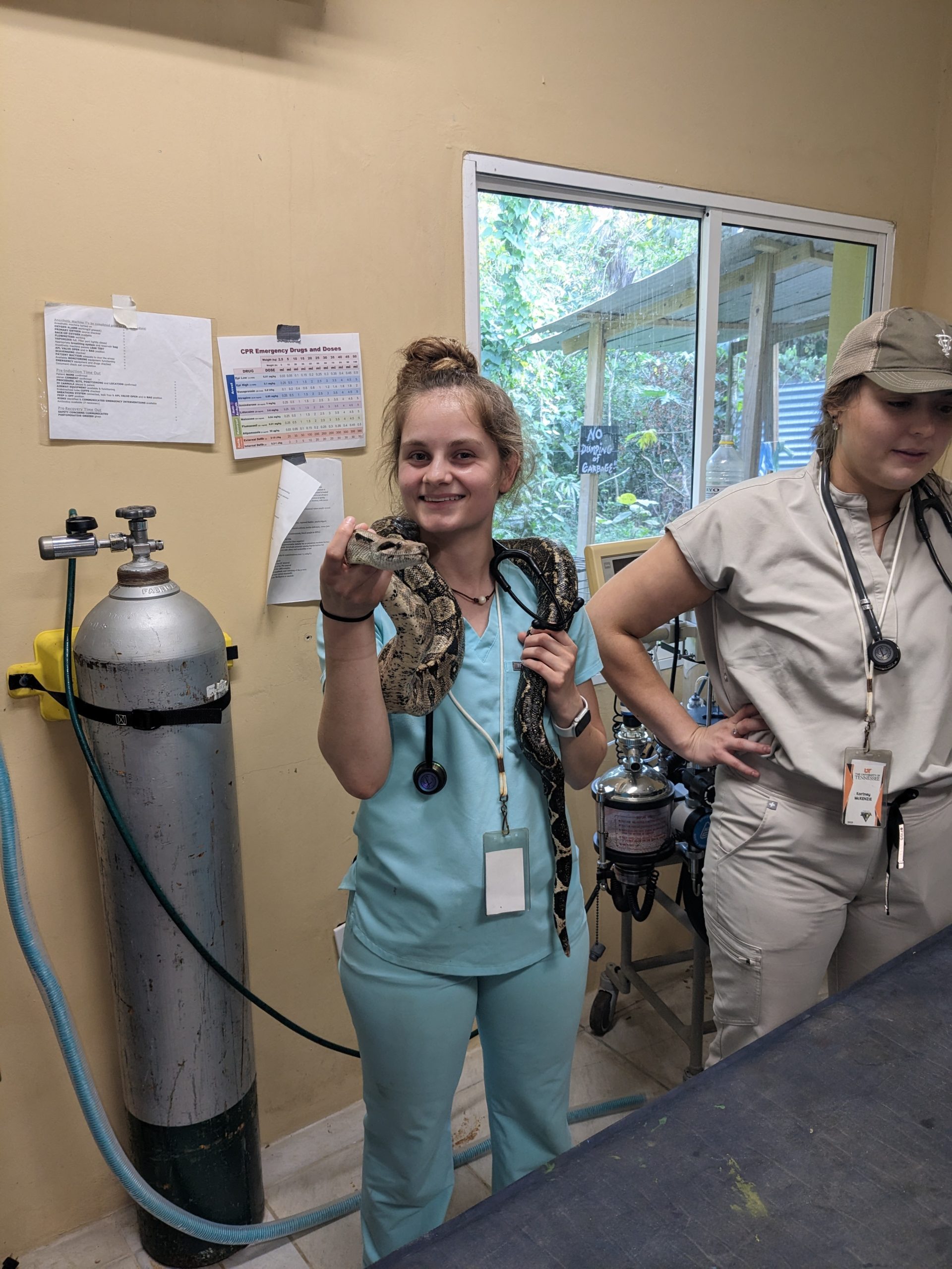 Zoo Medicine at the Belize Zoo | College of Veterinary Medicine