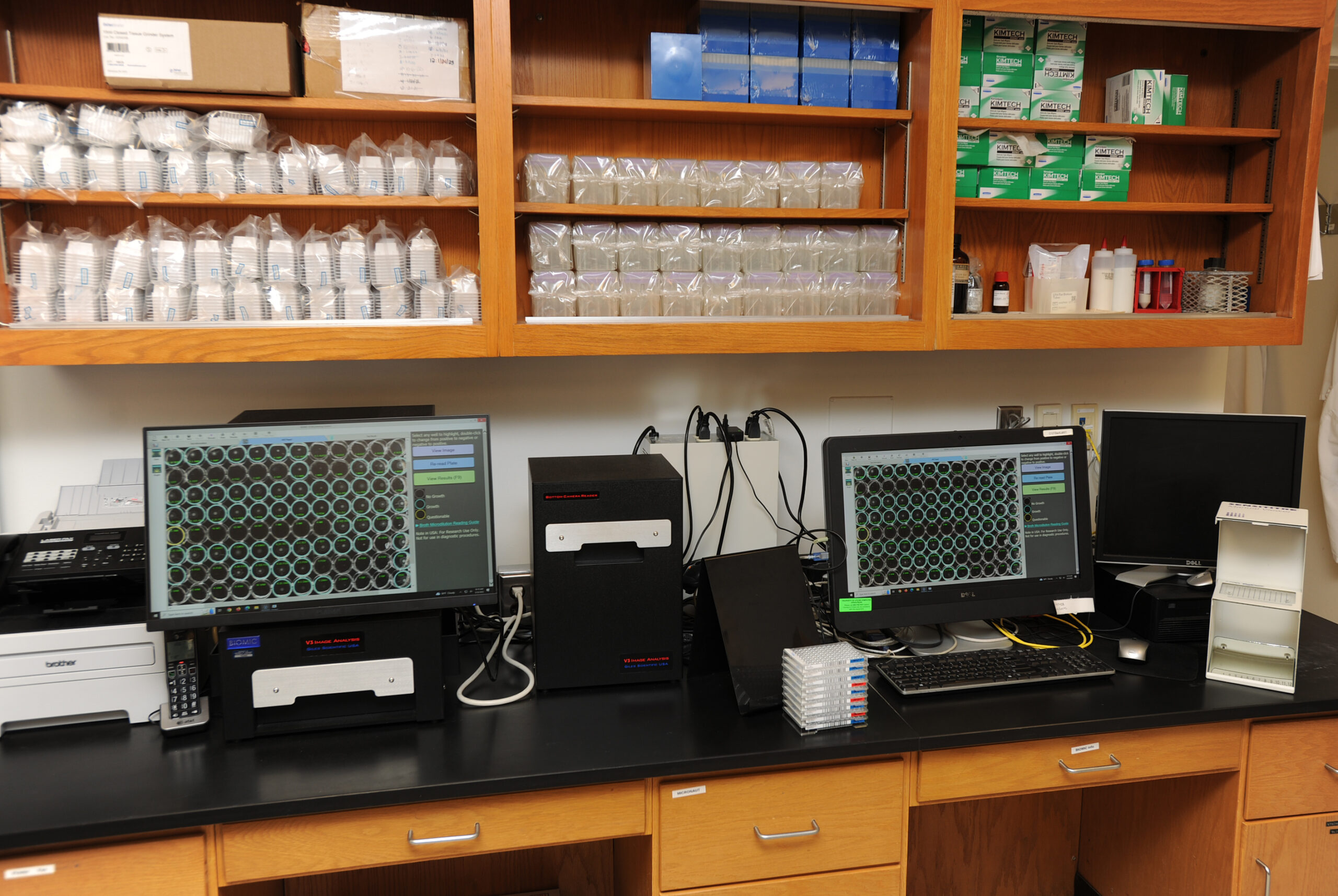 Bacteriology & Mycology | College of Veterinary Medicine