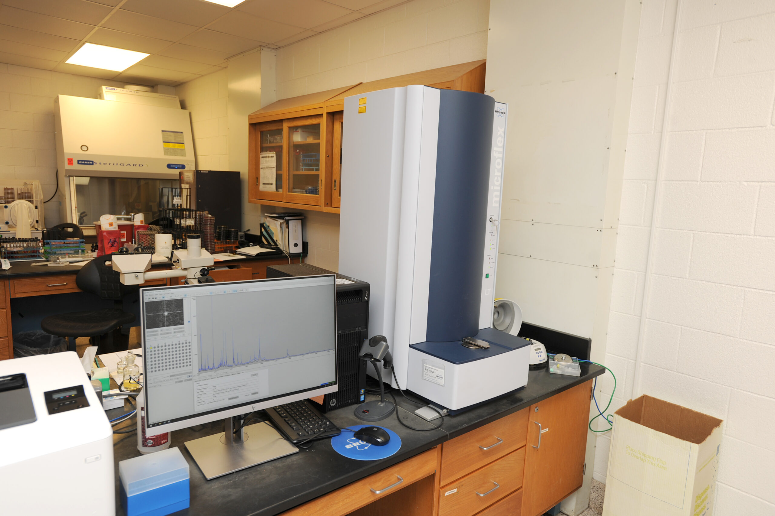 Bacteriology & Mycology | College of Veterinary Medicine