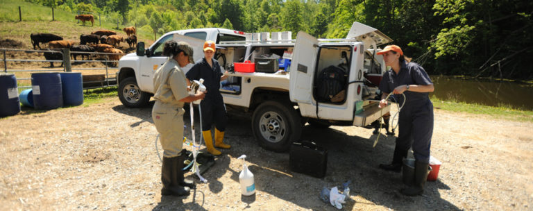 Farm Animal Field Services | College of Veterinary Medicine