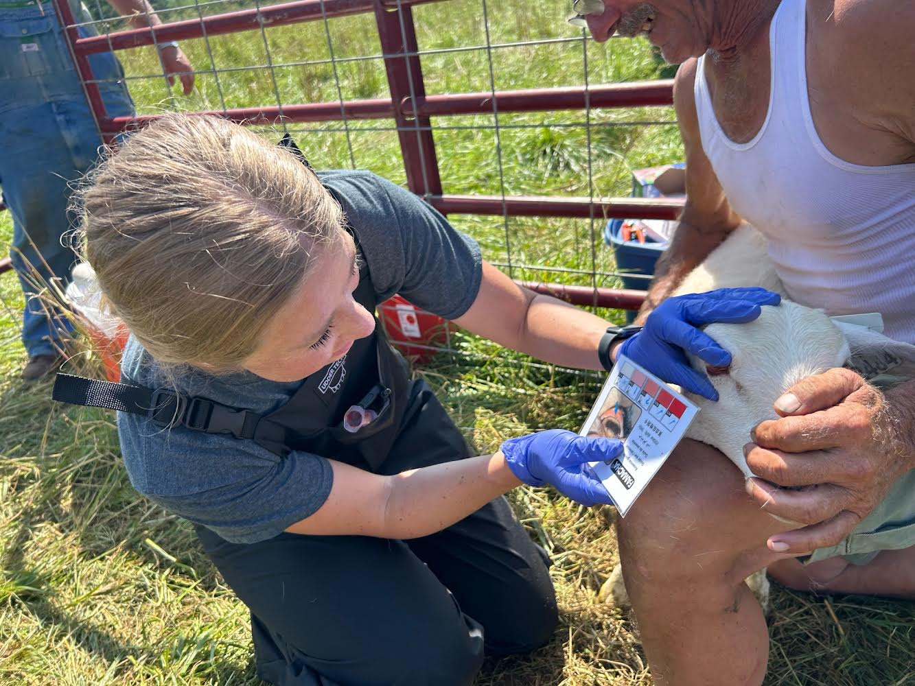 VETERINARY SUMMER RESEARCH PROGRAM | College of Veterinary Medicine