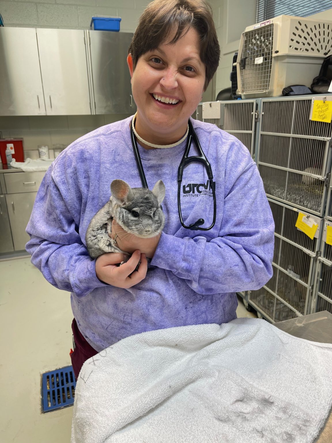 Perseverance Pays Off for UTCVM Grad: Hope Hunter | College of ...