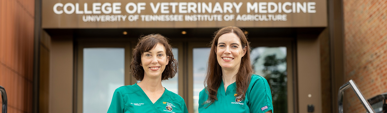 Home | College of Veterinary Medicine