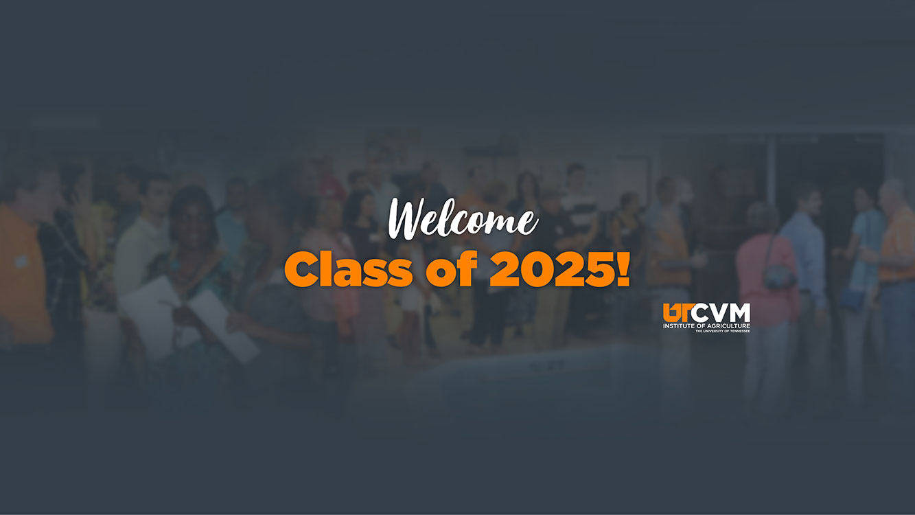 Home | College of Veterinary Medicine