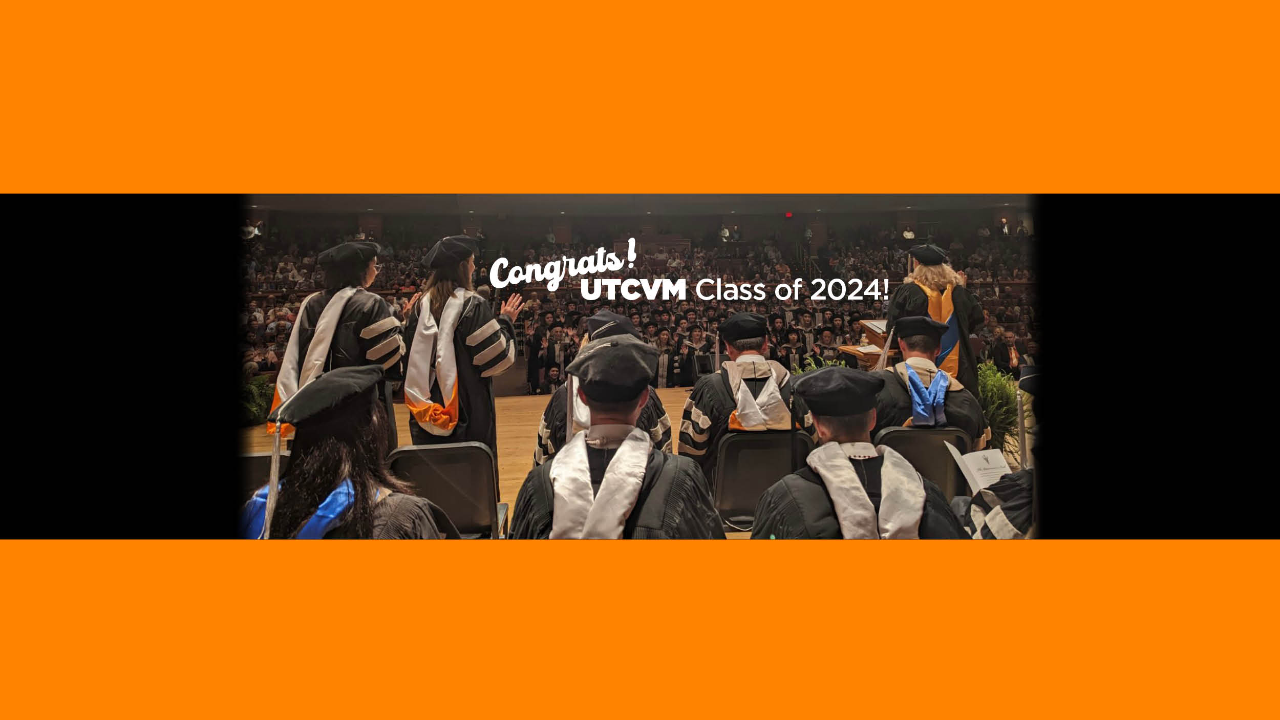 Home | College of Veterinary Medicine