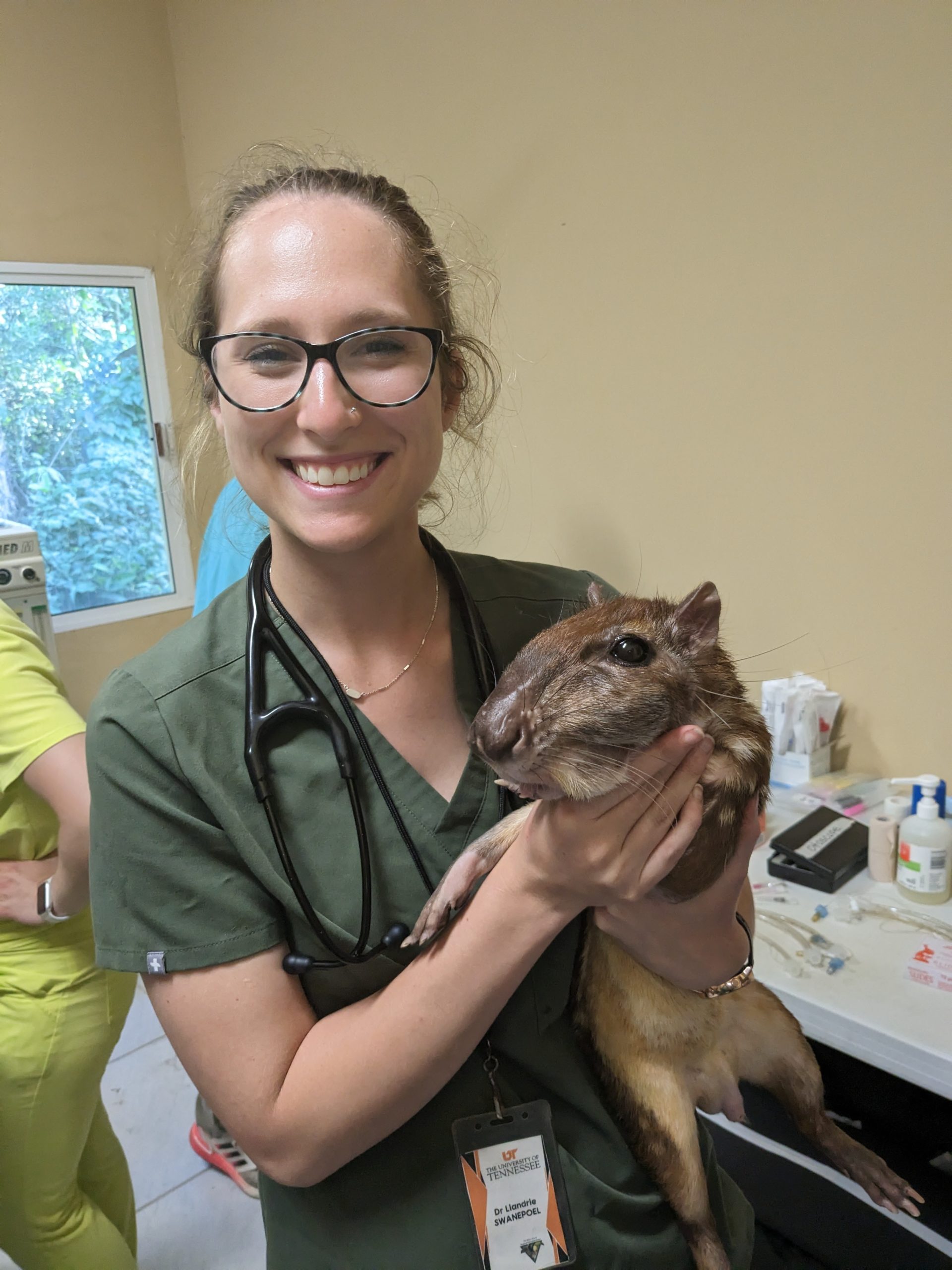 Zoo Medicine at the Belize Zoo | College of Veterinary Medicine