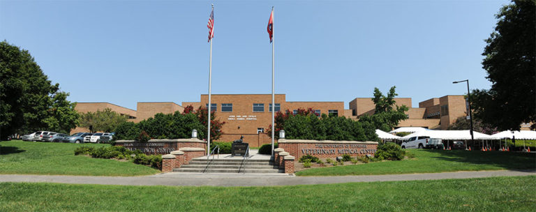 About the Veterinary Medical Center | College of Veterinary Medicine